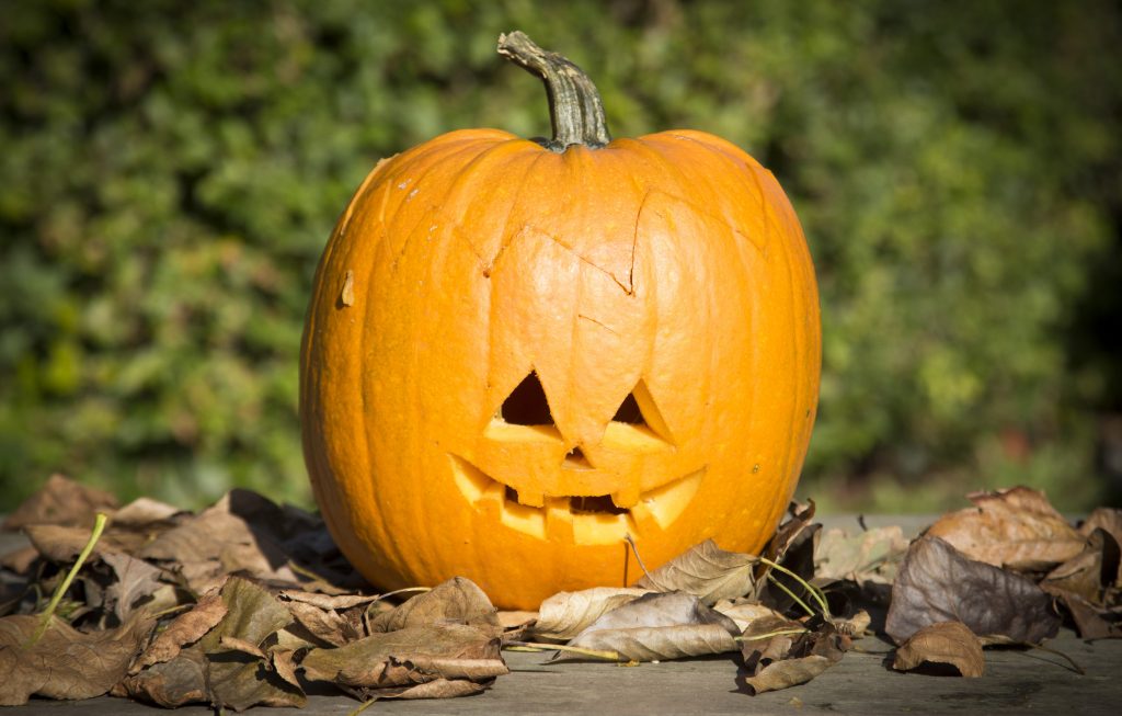 Flotte gresskar til din kreative halloween (med gode tips og triks ...